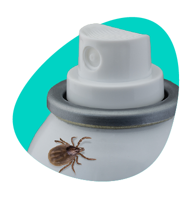 Preparaty na kleszcze — jak działają, które są najlepsze?